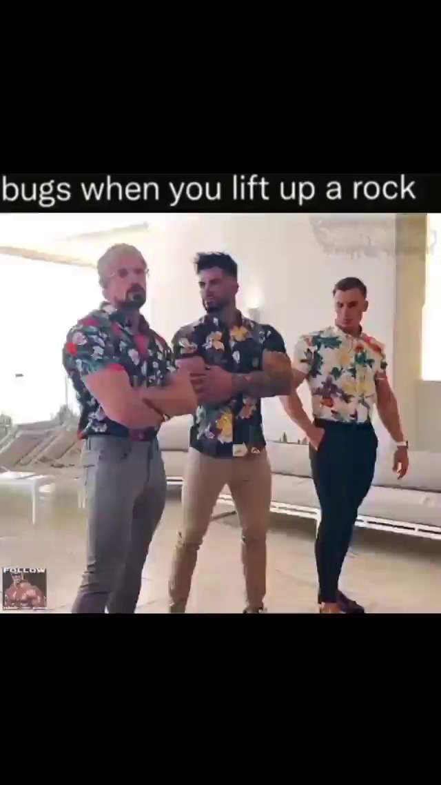 Bugs when you lift up a rock - iFunny