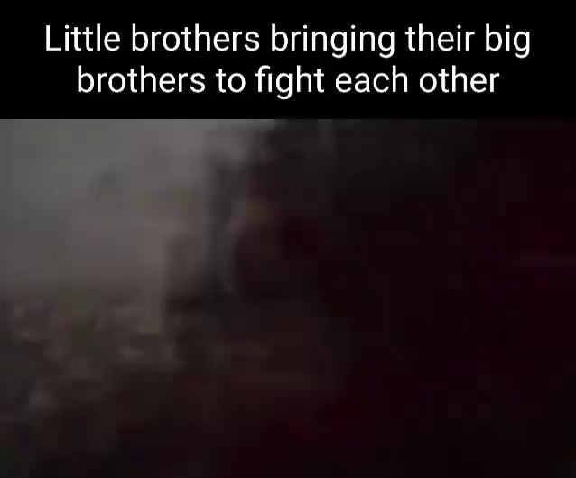 Little brothers bringing their big brothers to fight each other - iFunny
