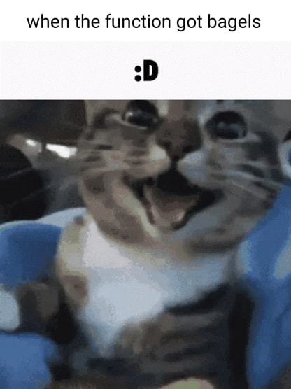 When the function got bagels - iFunny