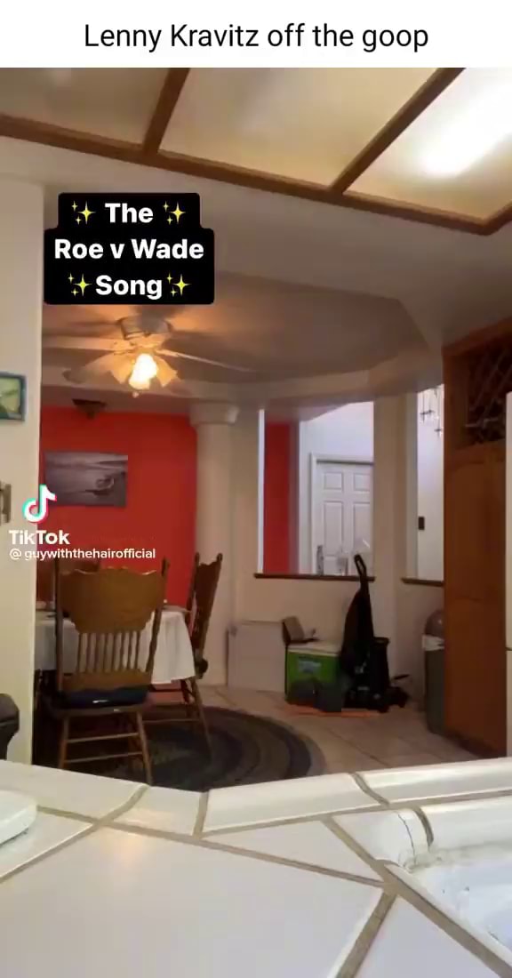 Lenny Kravitz off the goop The Roe v Wade Song cf TIK TOR - iFunny