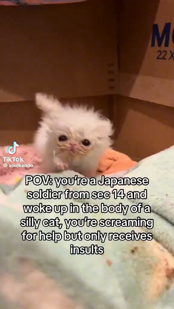 POV: you're a Japanese soldier from sec 14 and woke up in the body of a ...