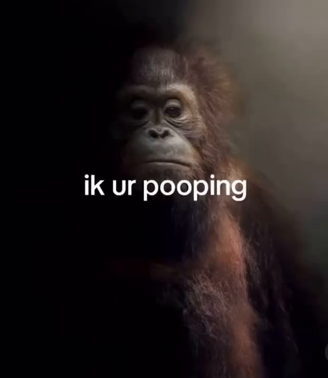 Ik ur pooping - iFunny