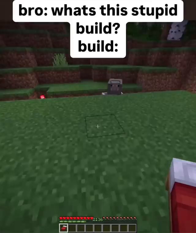 Bro: whats this stupid build? build: - iFunny