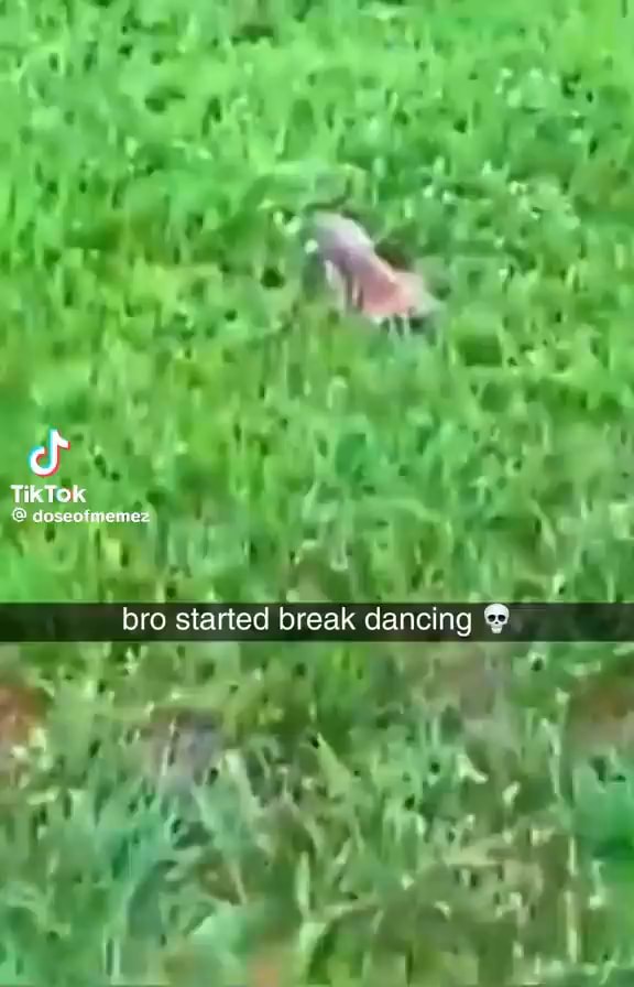 Rene bro started break dancing - iFunny