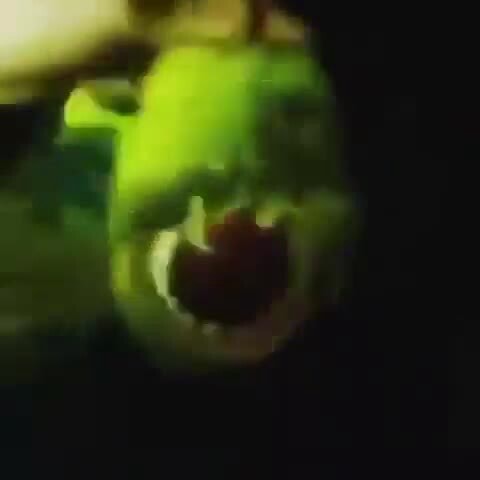 Screaming Shrek - iFunny