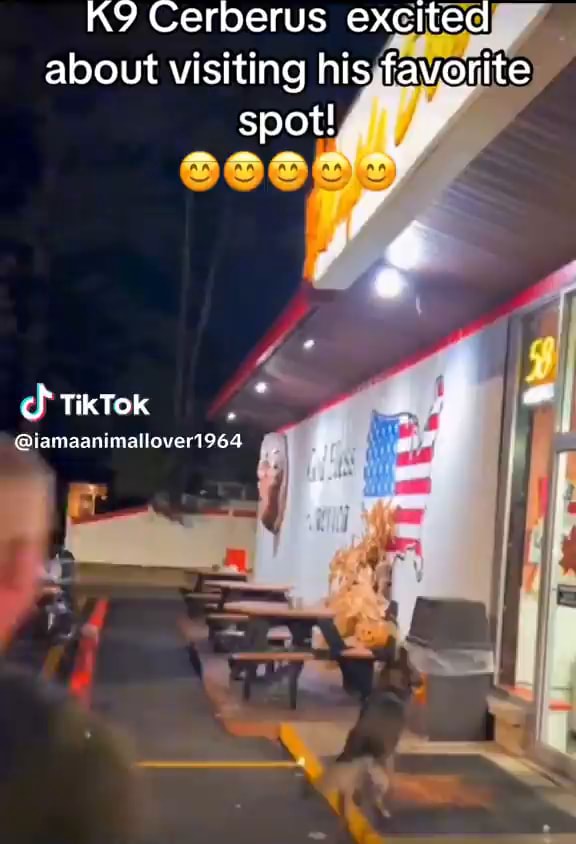 KY Cerberus excited about visiting his faverite spot ...