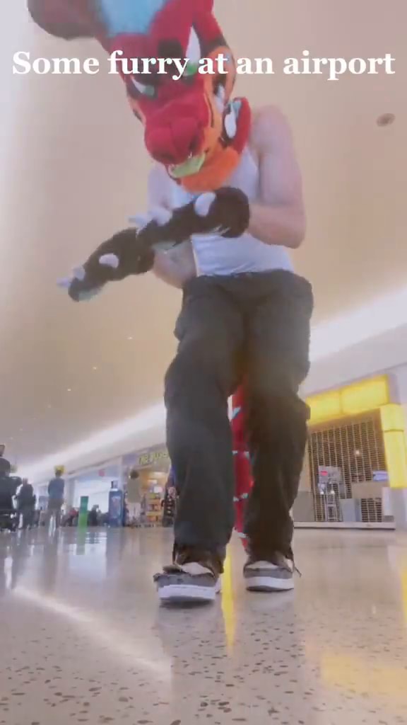 Some furry at an airport - iFunny