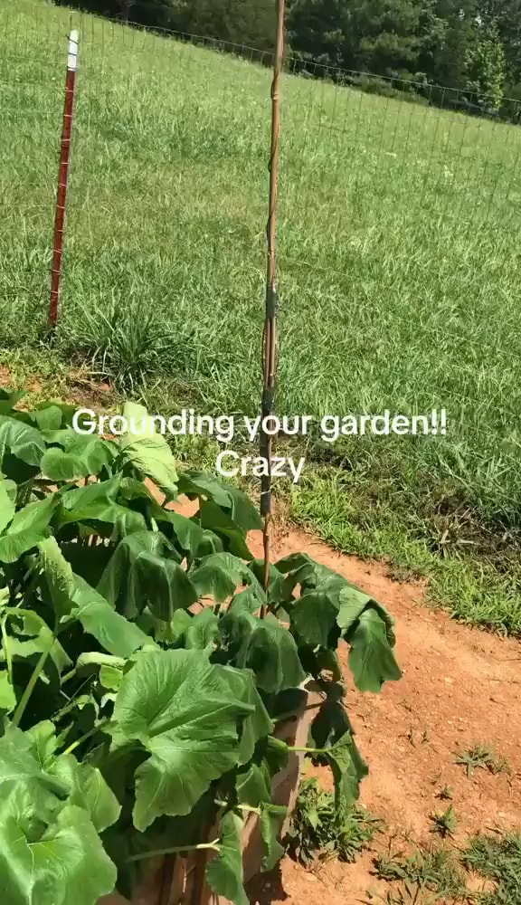Grounding your garderit! Crazy - iFunny