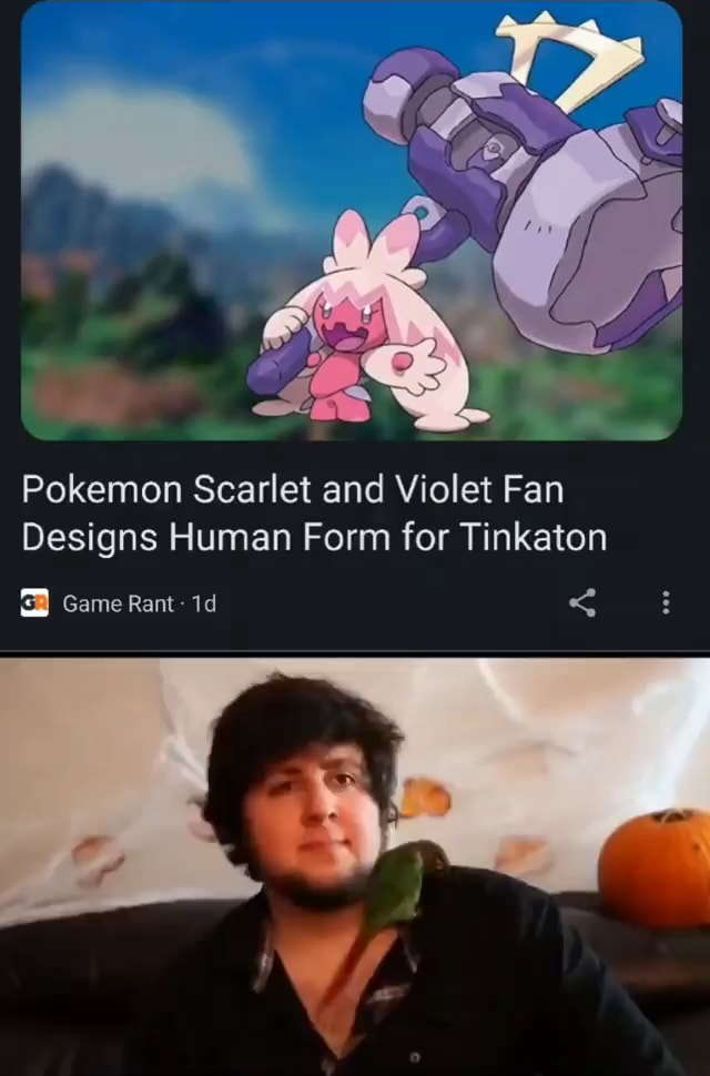 Pokemon Scarlet and Violet Fan Designs Human Form for Tinkaton Game Rant- - iFunny