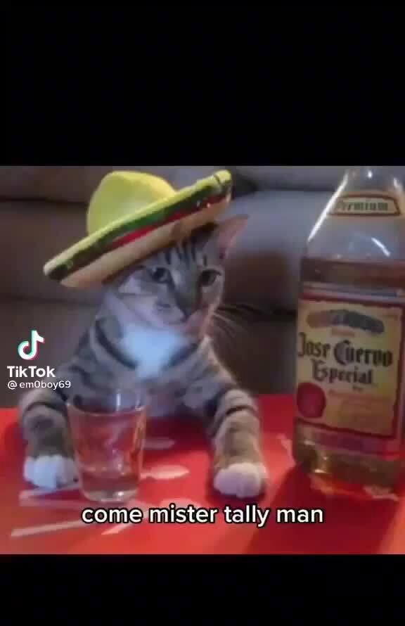 Come mister tally man - iFunny