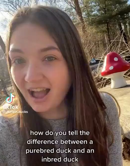 How do you tel. the difference between a purebred duck and an inbred ...