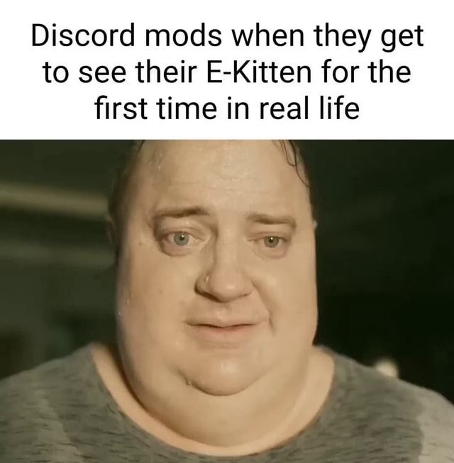 Discord mods when they get to see their E-Kitten for the first time in ...