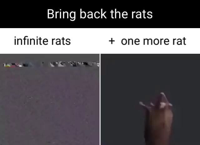Bring back the rats infinite rats + one more rat - iFunny