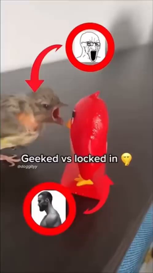 Geeked vs locked in @ - iFunny