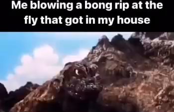 Me blowing a bong rip at the fly that got in my house - iFunny