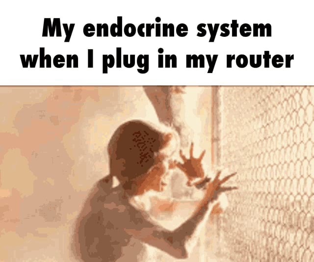 My endocrine system when plug in my router - iFunny