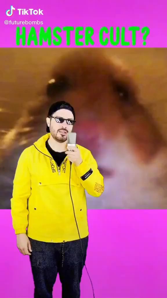 TikTok HAMSTER cuLT? - iFunny