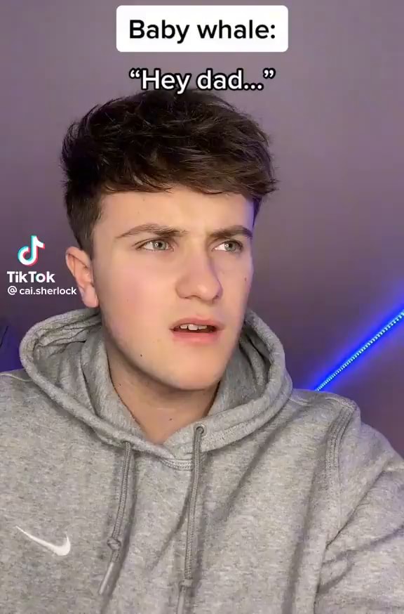 Baby whale: "Hey dad..." TikTok @cai.sherlock - iFunny