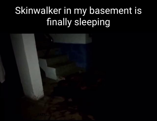 Skinwalker in my basement is finally sleeping - iFunny