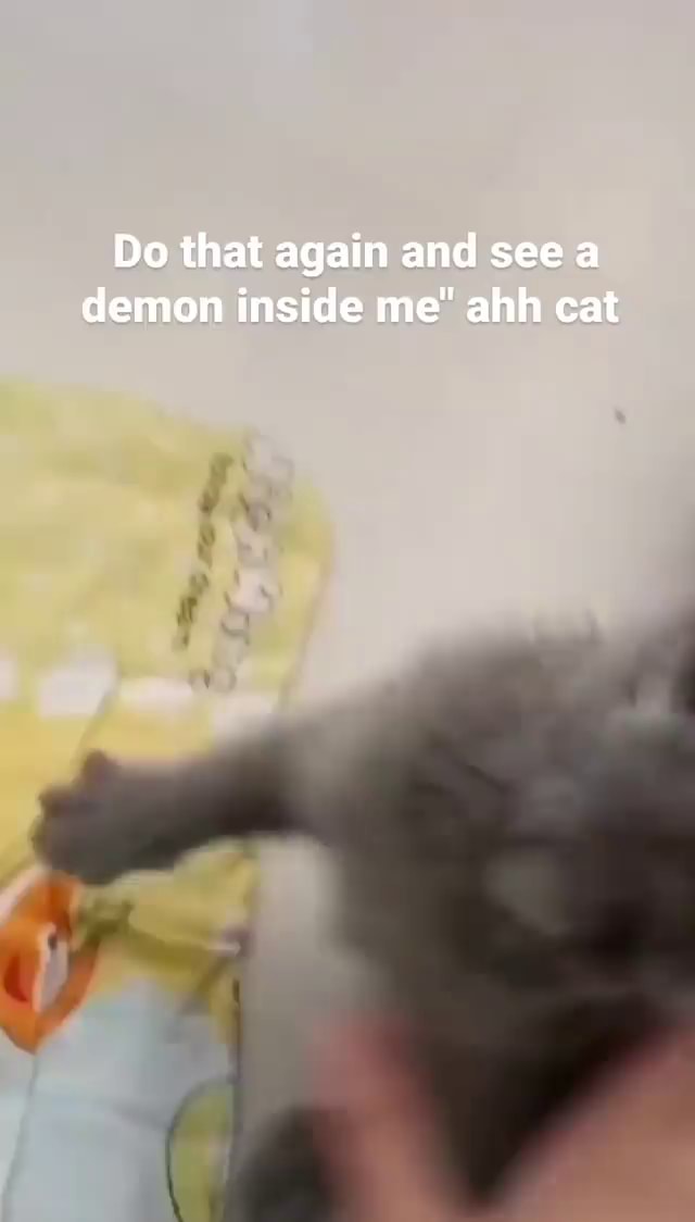 Do that again and see demon inside me" ahlh cat - iFunny