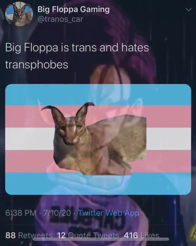 Big Floppa Gaming Big Floppa is trans and hates ransohobes 6338 PM ...