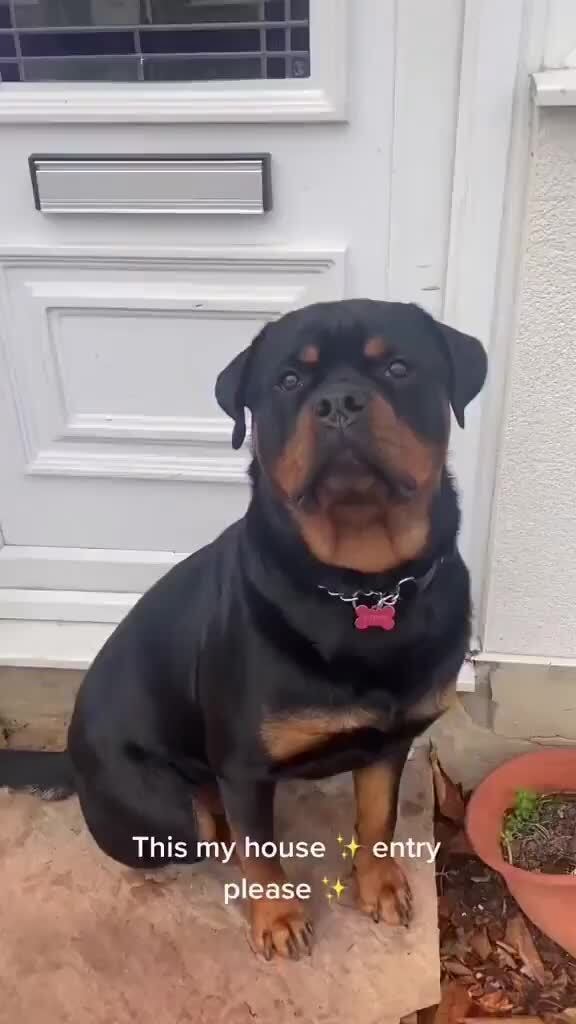 This my house entry please - iFunny