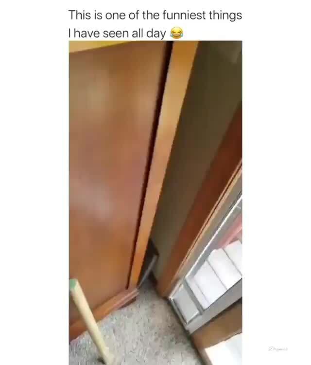 This is one of the funniest things Ihave seen all day a - iFunny