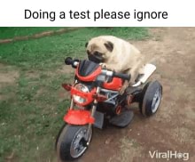 Doing a test please ignore - iFunny