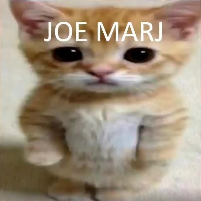 Joe marj jump scare (dont open scary) - iFunny