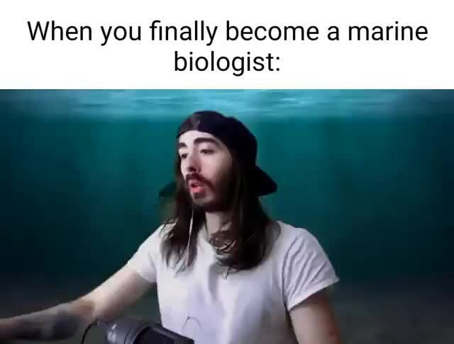 When you finally become a marine biologist: - iFunny