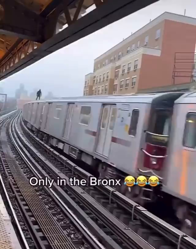 Only in the Bronx - iFunny