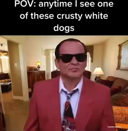"AL POV: anytime I see one of these crusty white dogs - iFunny