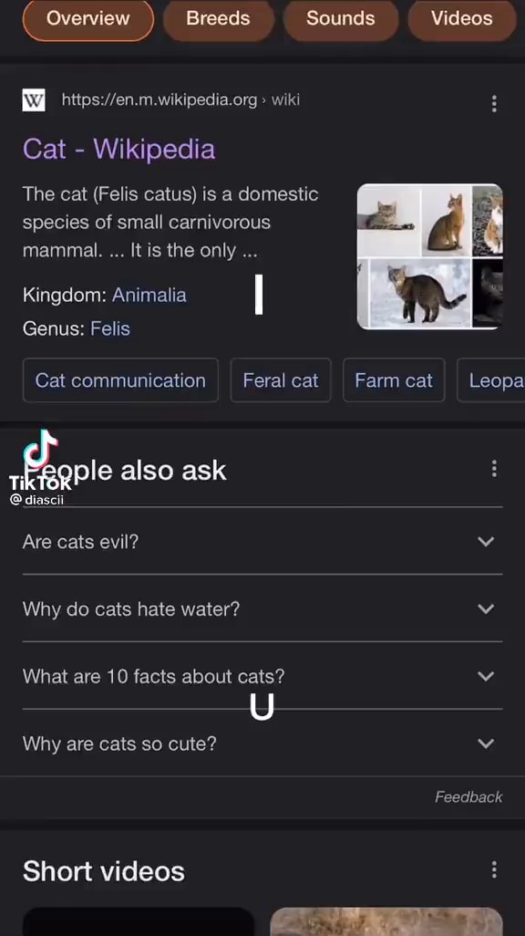 Overview Breeds Sounds wiki Cat - Wikipedia The cat (Felis catus) is a ...