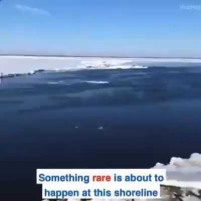 Something rare is about to happen at this shoreline - iFunny