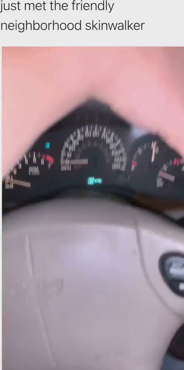 Just met the friendly neighborhood skinwalker - iFunny