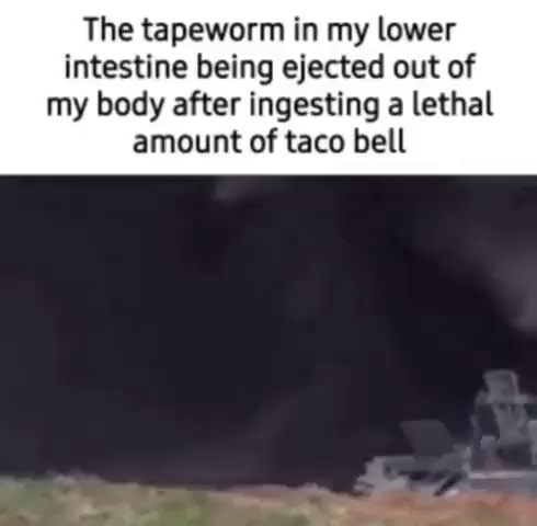 The tapeworm in my lower intestine being ejected out of my body after ...