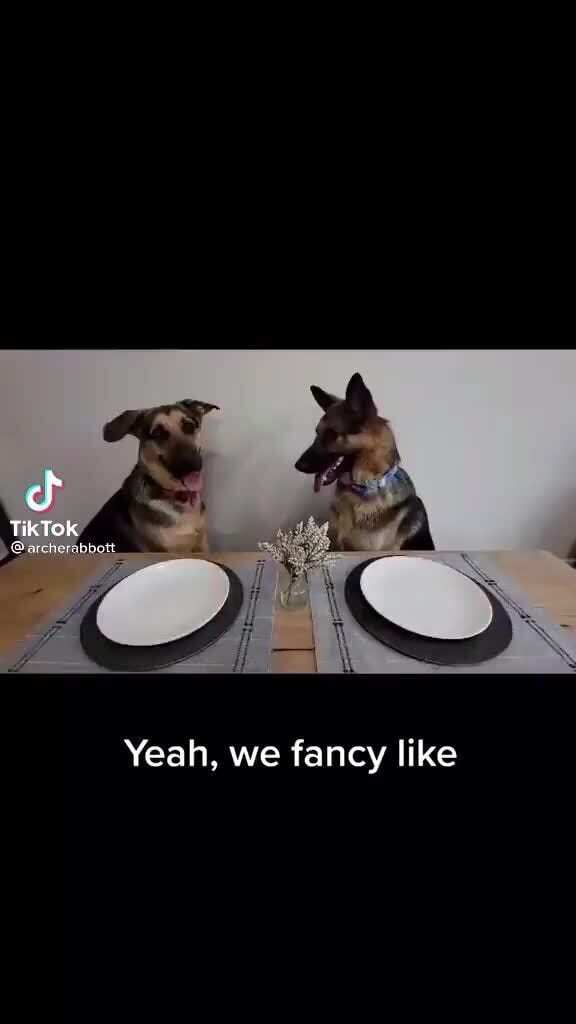 TikTok Yeah, we fancy like - iFunny
