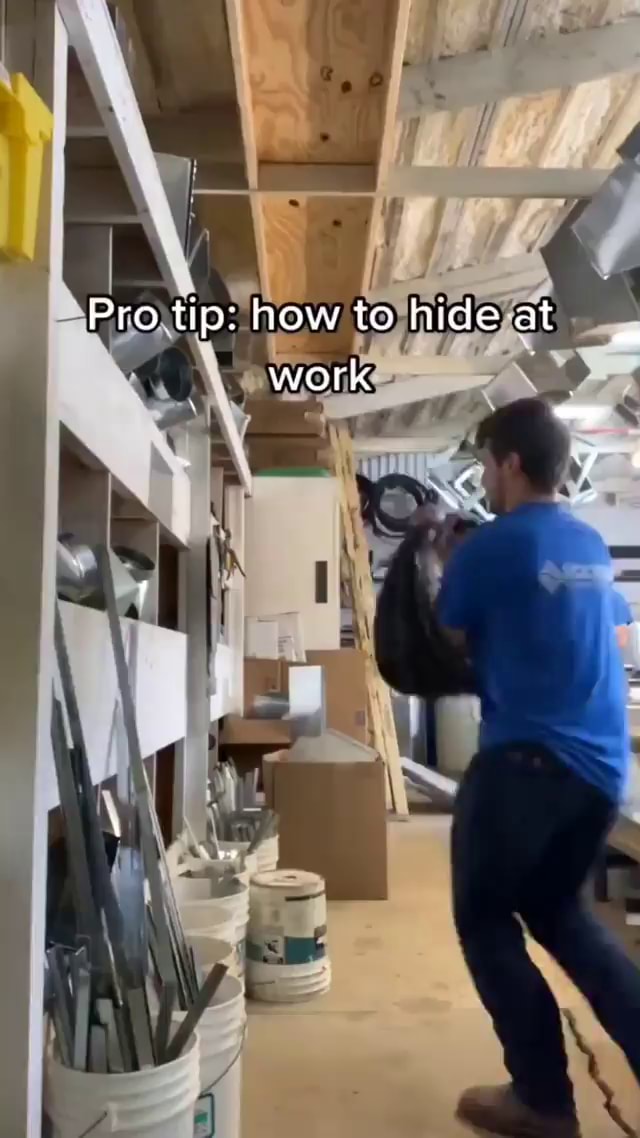 Pro tip: how to hide at work - iFunny