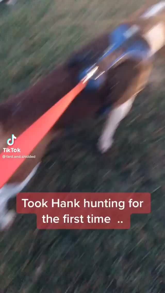 TikTok Took Hank hunting for the first time - iFunny
