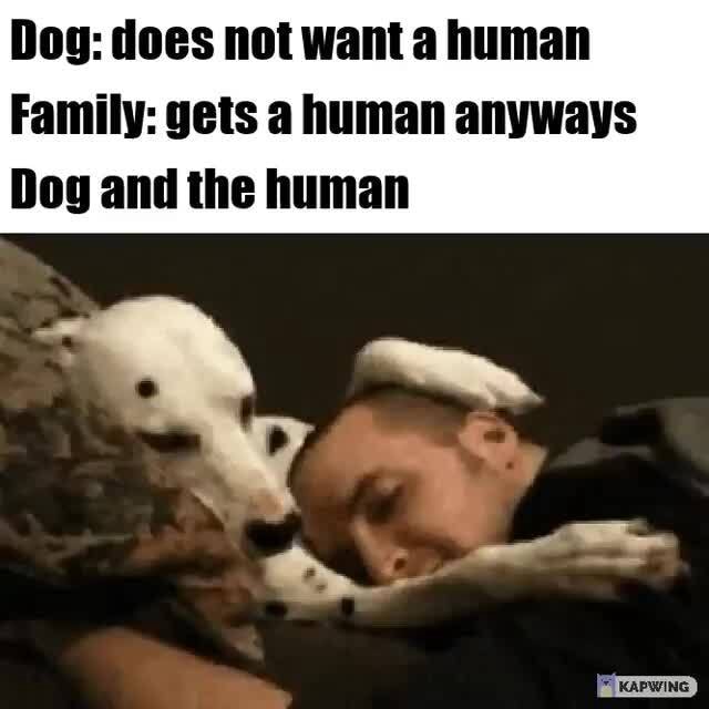 Dog: does not want a human Family: gets a human anyways Dog and the ...