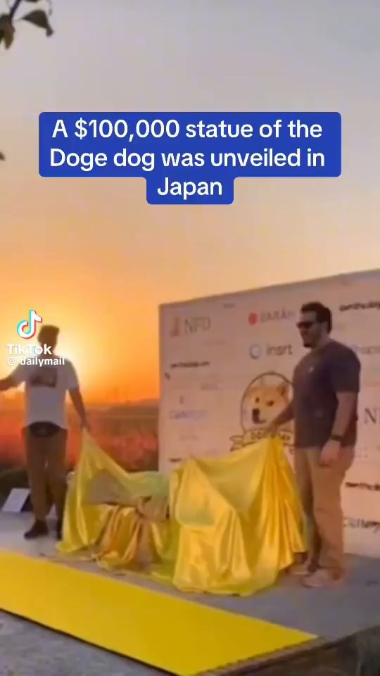 A $100,000 statue of the Doge dog was unveiled in Japan Tikqok PHaily ...