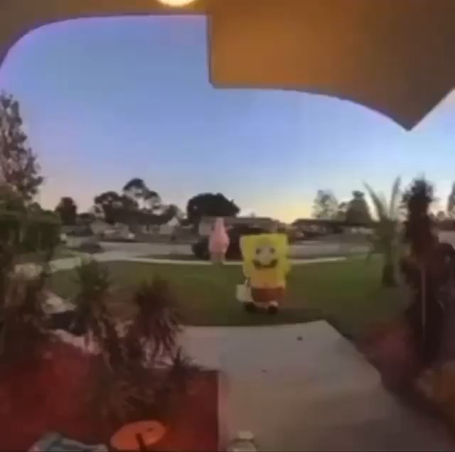Video memes mWEOsscWA by sweg_the_monster_lover - iFunny
