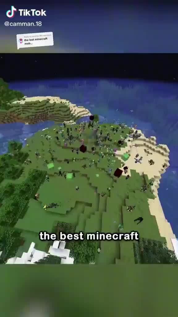 @camman.18 the best minecraft - iFunny
