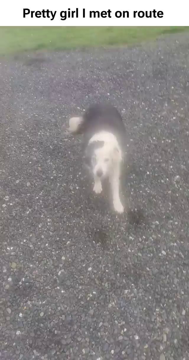 Pretty girl I met on route at, aa he - iFunny