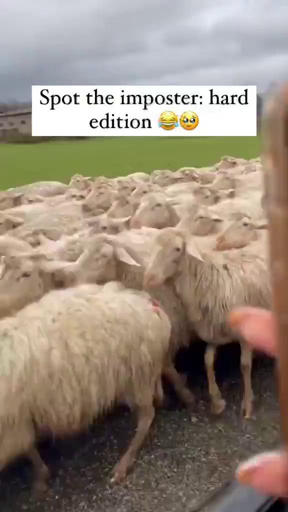 Spot the imposter: hard edition - iFunny