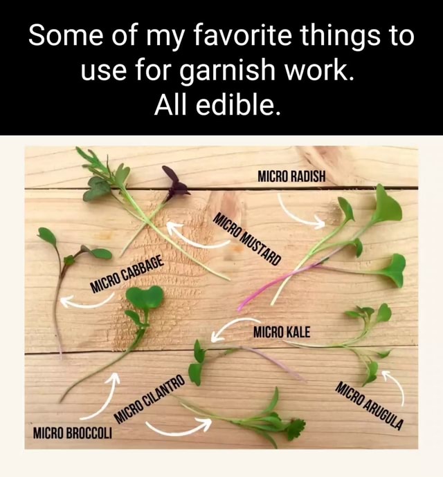 Some of my favorite things to use for garnish work. All edible. MICRO RADISH "ip, Up ES 'My ww ...
