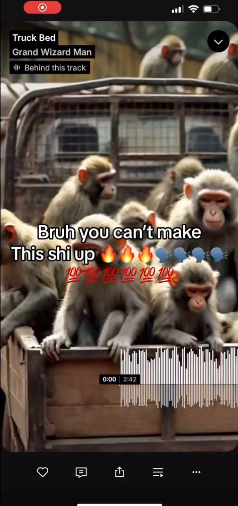 Truck Bed Grand Wizard Man wack can't make This - iFunny