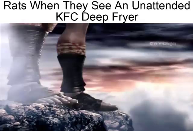 Rats When They See An Unattended KFC Deep Fryer - iFunny