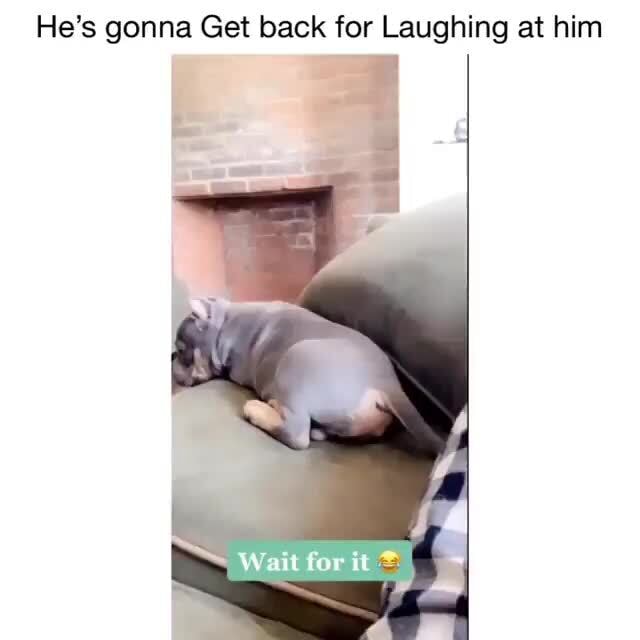 He's gonna Get back for Laughing at him - iFunny