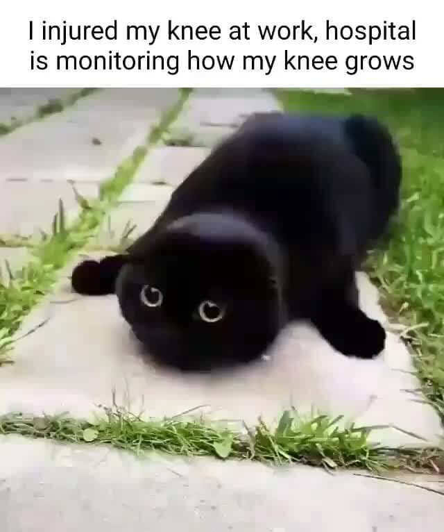 I injured my knee at work, hospital is monitoring how my knee grows ...